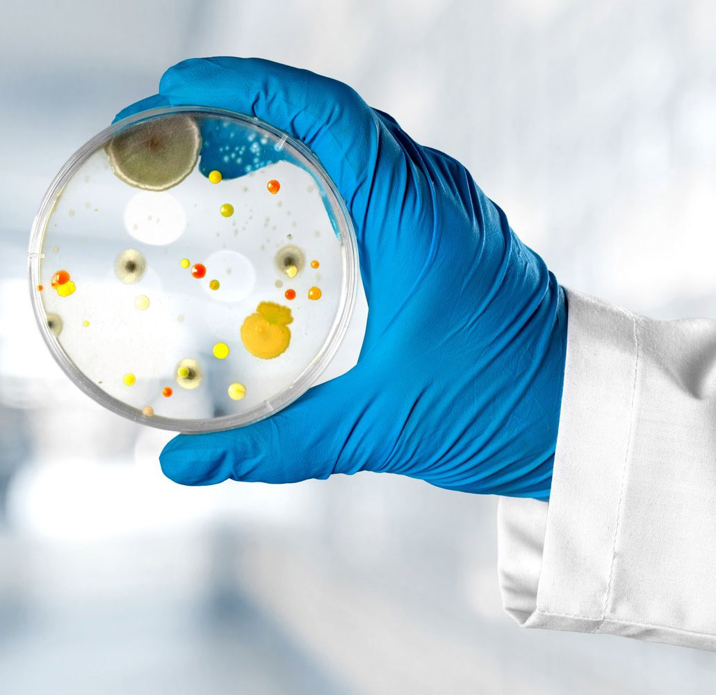 How to know if there’s mold in your home - H2H Indoor Air Solutions